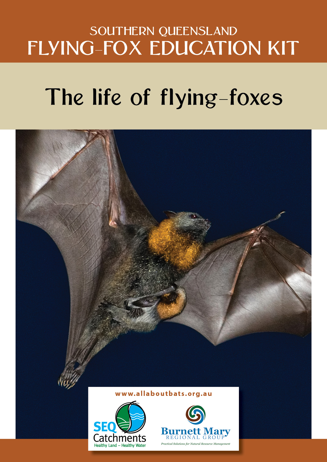 Education - All About Bats